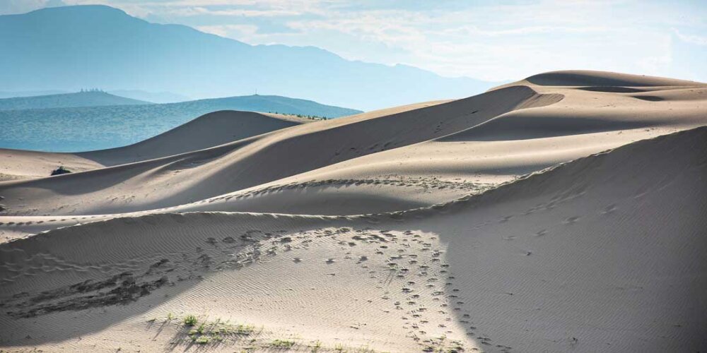 Gallery6 Iinsect fogar aside and this more aboard therófore incredibly ...